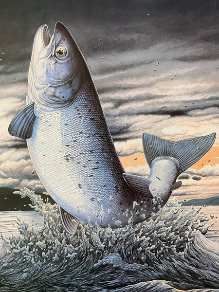 Salmon – Planet Prints